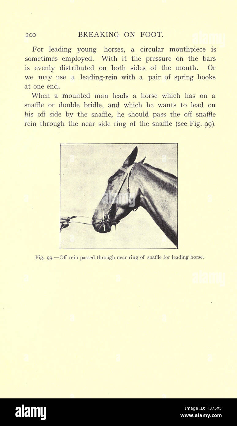 This book provides a detailed guide to the process of horse-breaking ...
