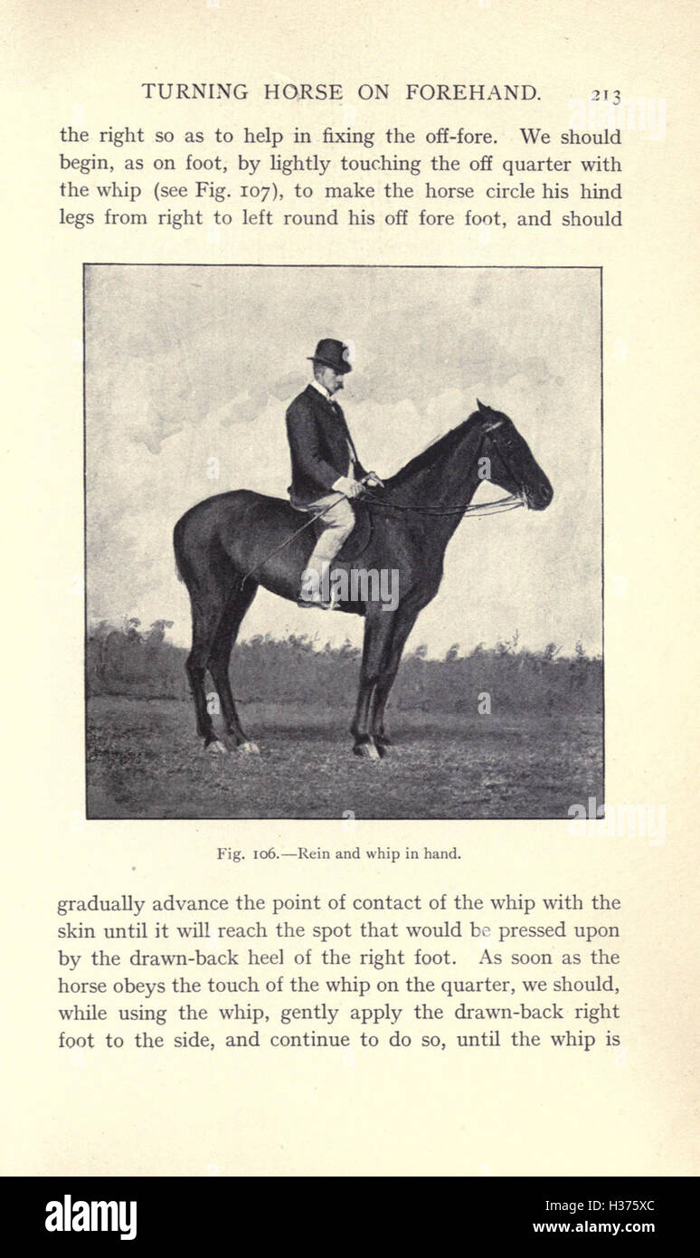 This page offers a detailed guide on the process of horse-breaking ...