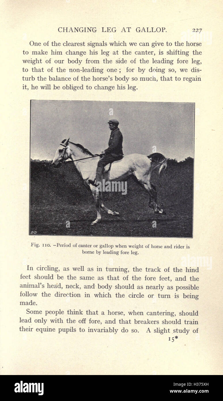 This manual provides a visual guide to effective horse-breaking methods ...
