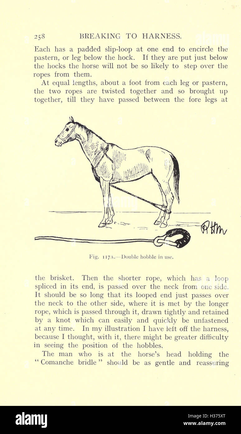 An illustrated guide to horse-breaking techniques, focusing on training ...