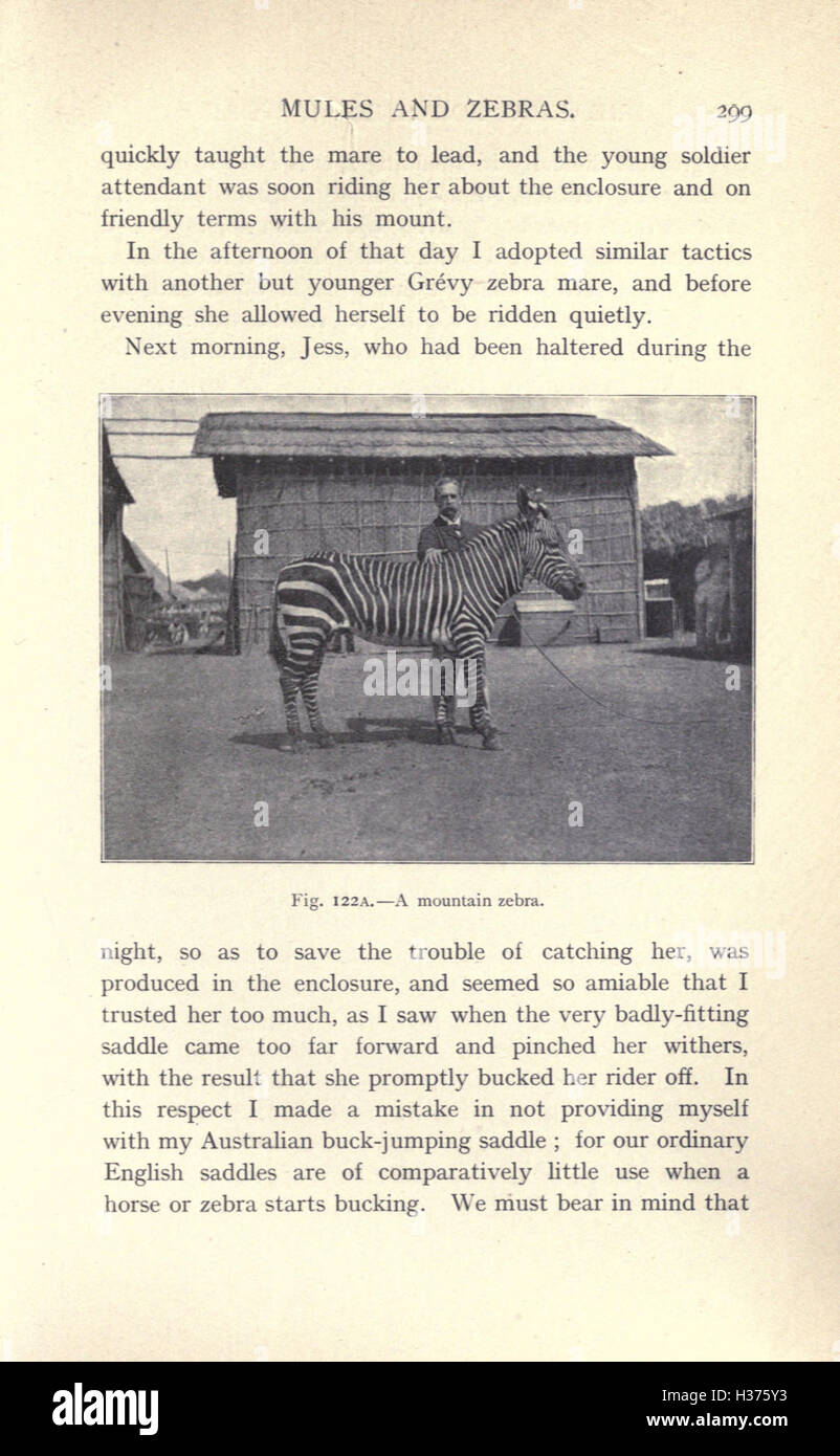 This work provides a visual guide to horse-breaking techniques ...