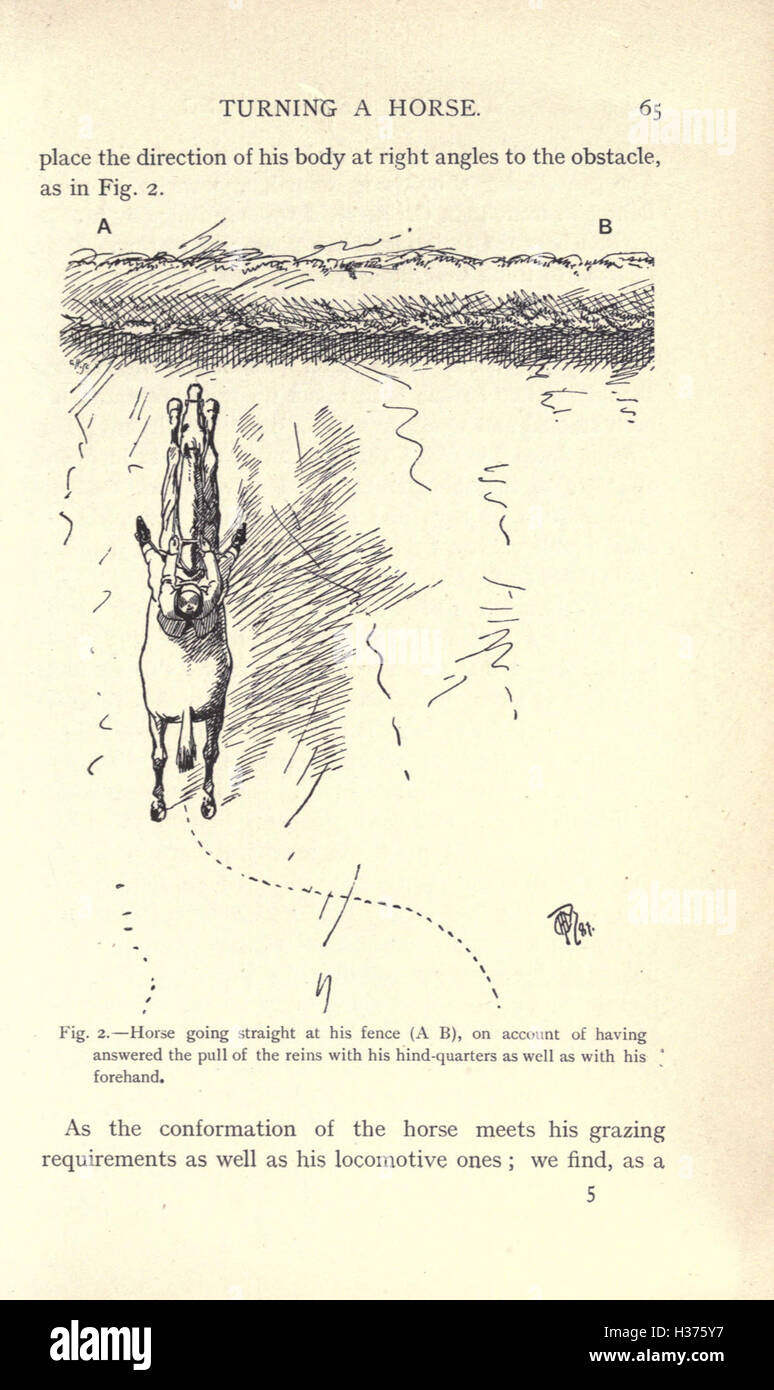 This guide provides a visual approach to horse-breaking, demonstrating ...