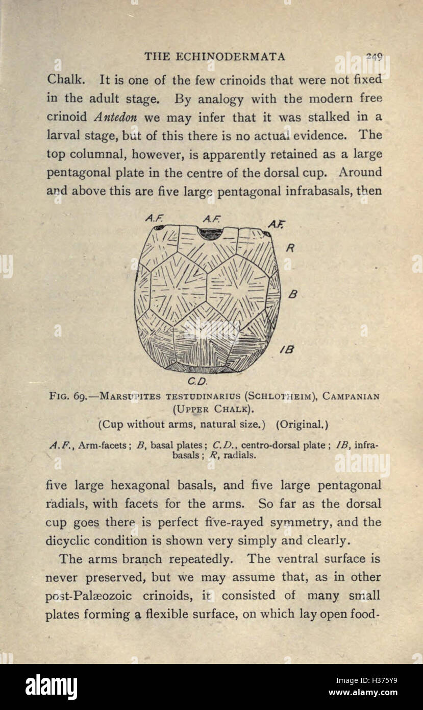 This introductory work offers a comprehensive overview of paleontology ...