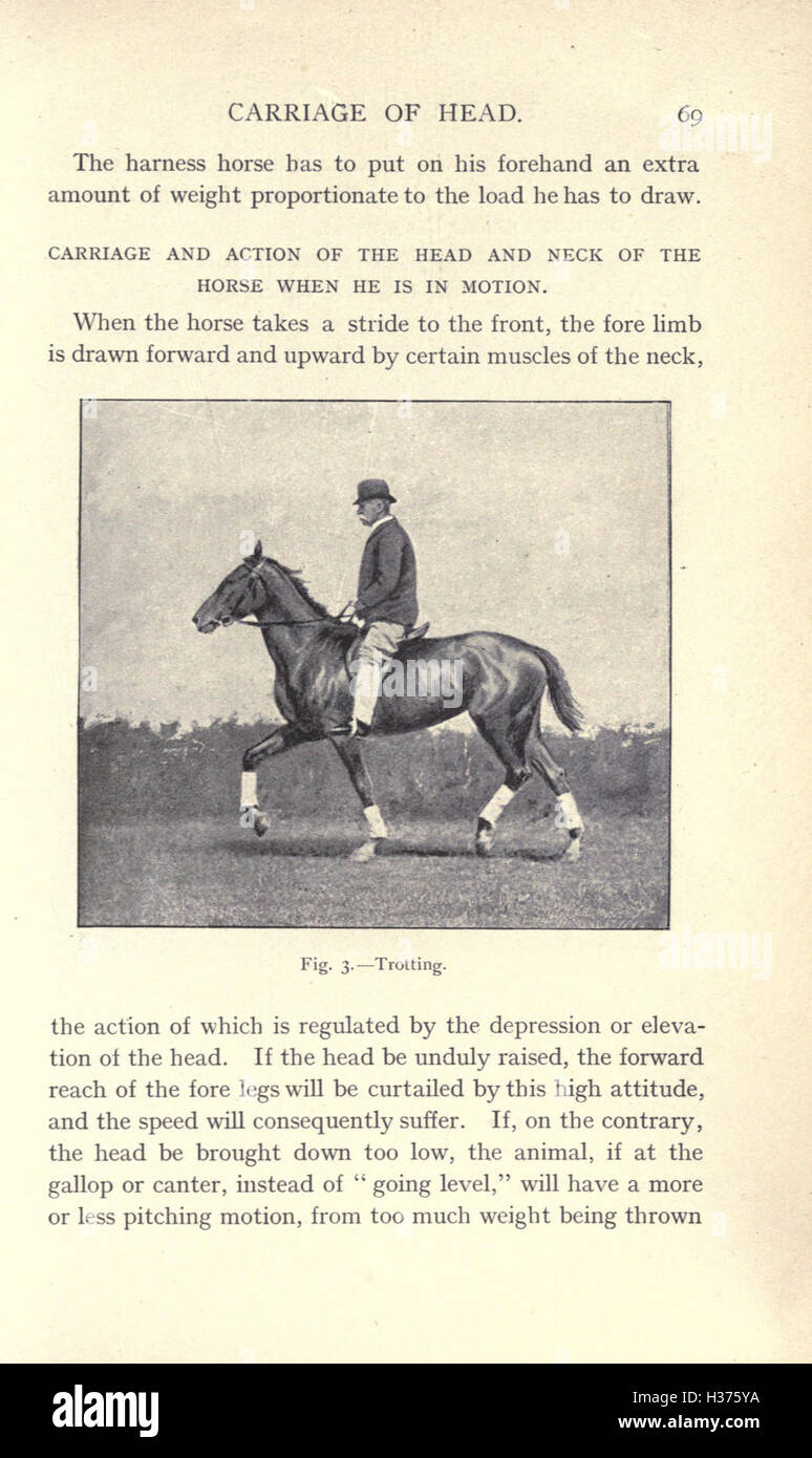 This work provides illustrated techniques for breaking and training ...
