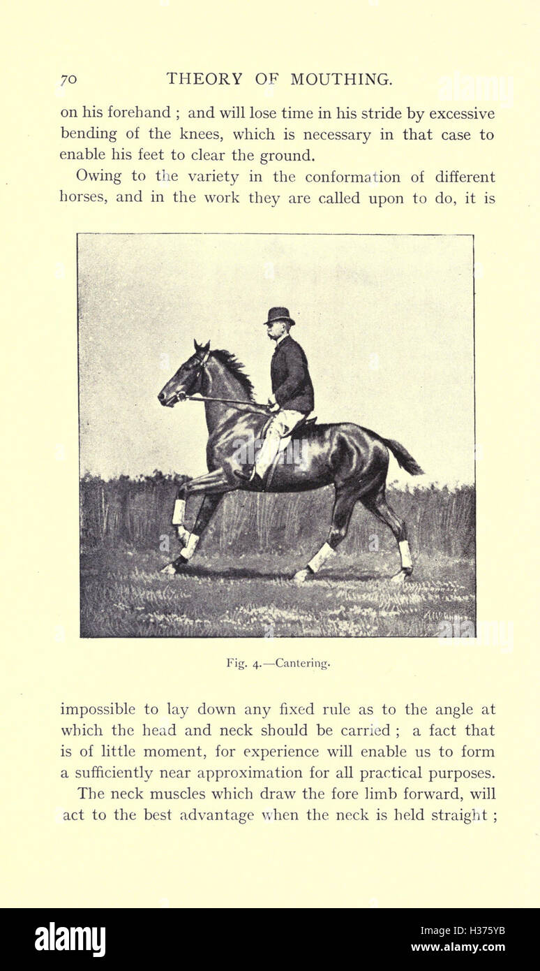 This illustrated guide offers methods for breaking horses, providing ...