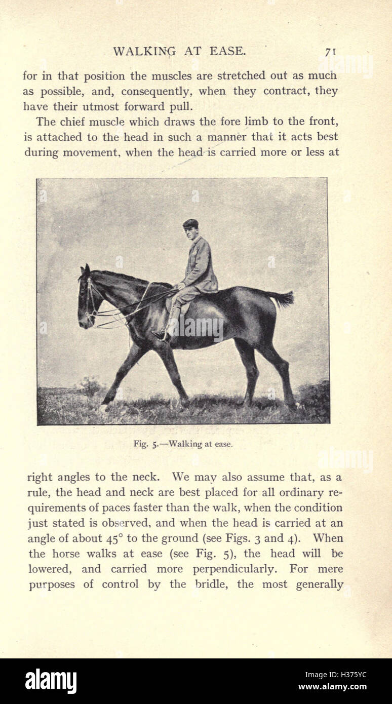 This book offers a visual guide to horse-breaking techniques ...