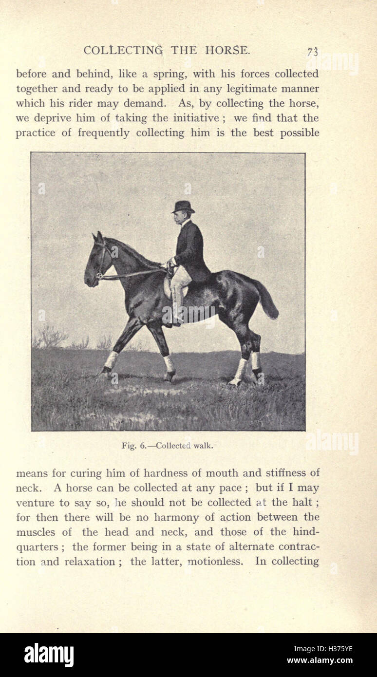 This manual provides a visual and practical guide to horse-breaking ...
