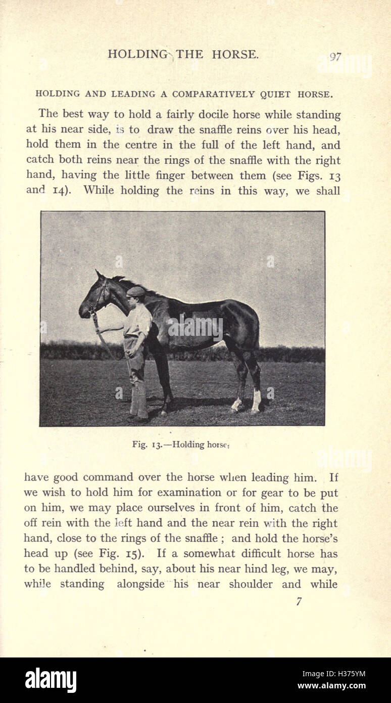 'Illustrated Horse-Breaking' offers a visual guide to training horses ...