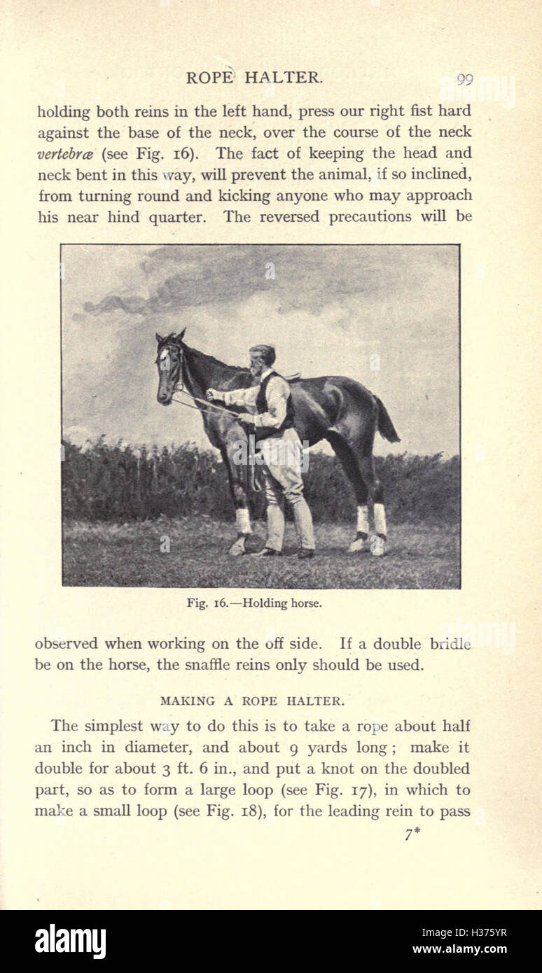 An instructional manual on the techniques of breaking and training ...