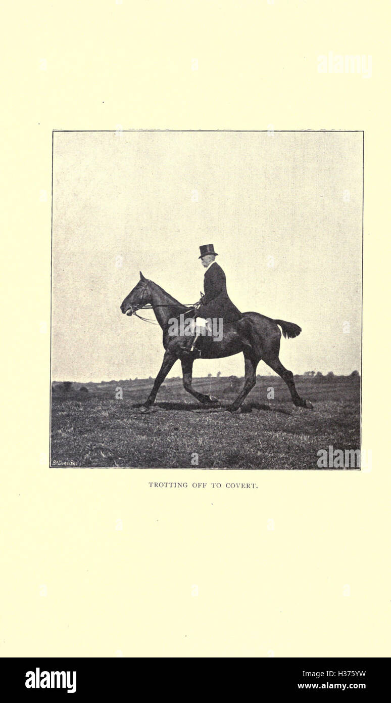 This work provides illustrations of techniques for breaking horses ...