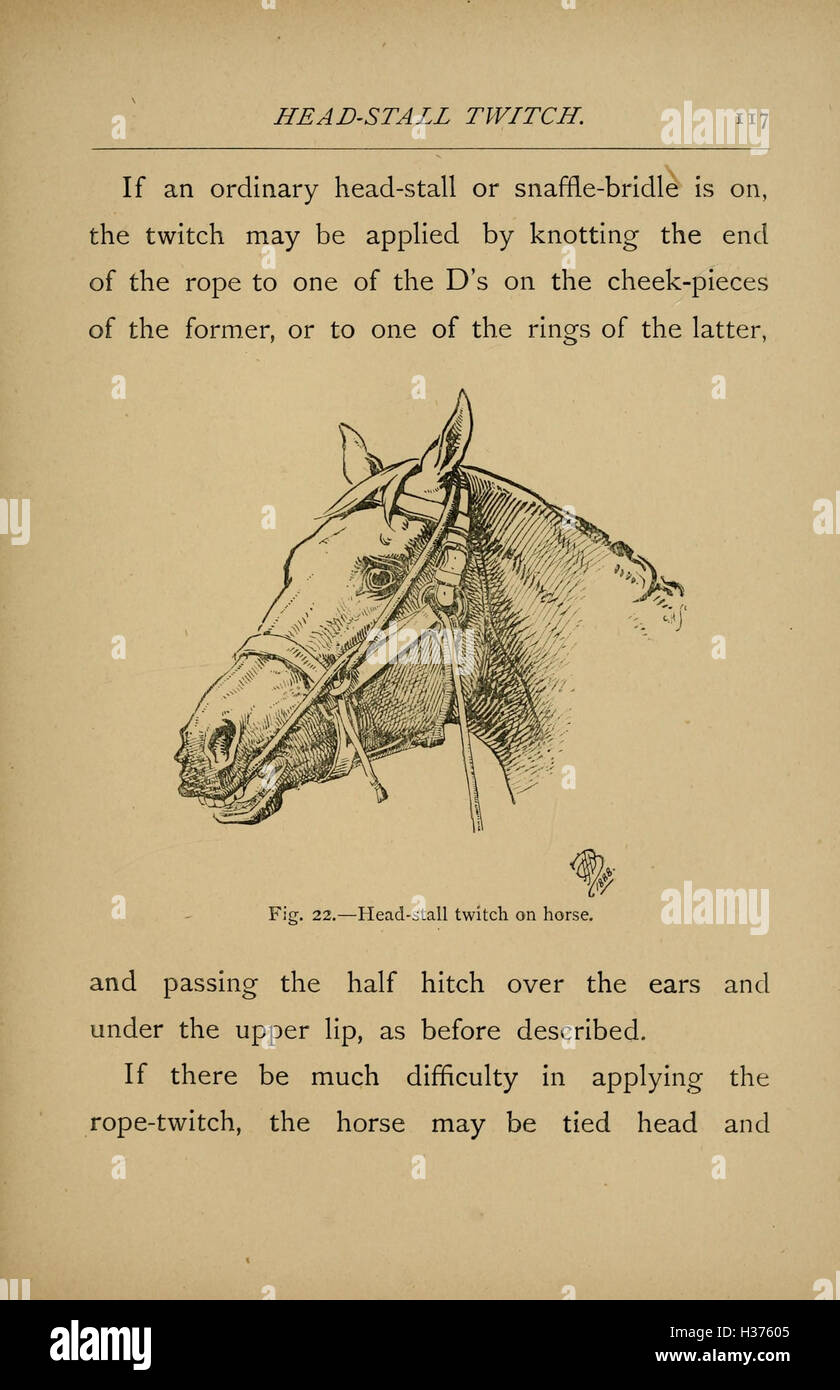 An illustrated guide to horse breaking techniques, focusing on methods ...