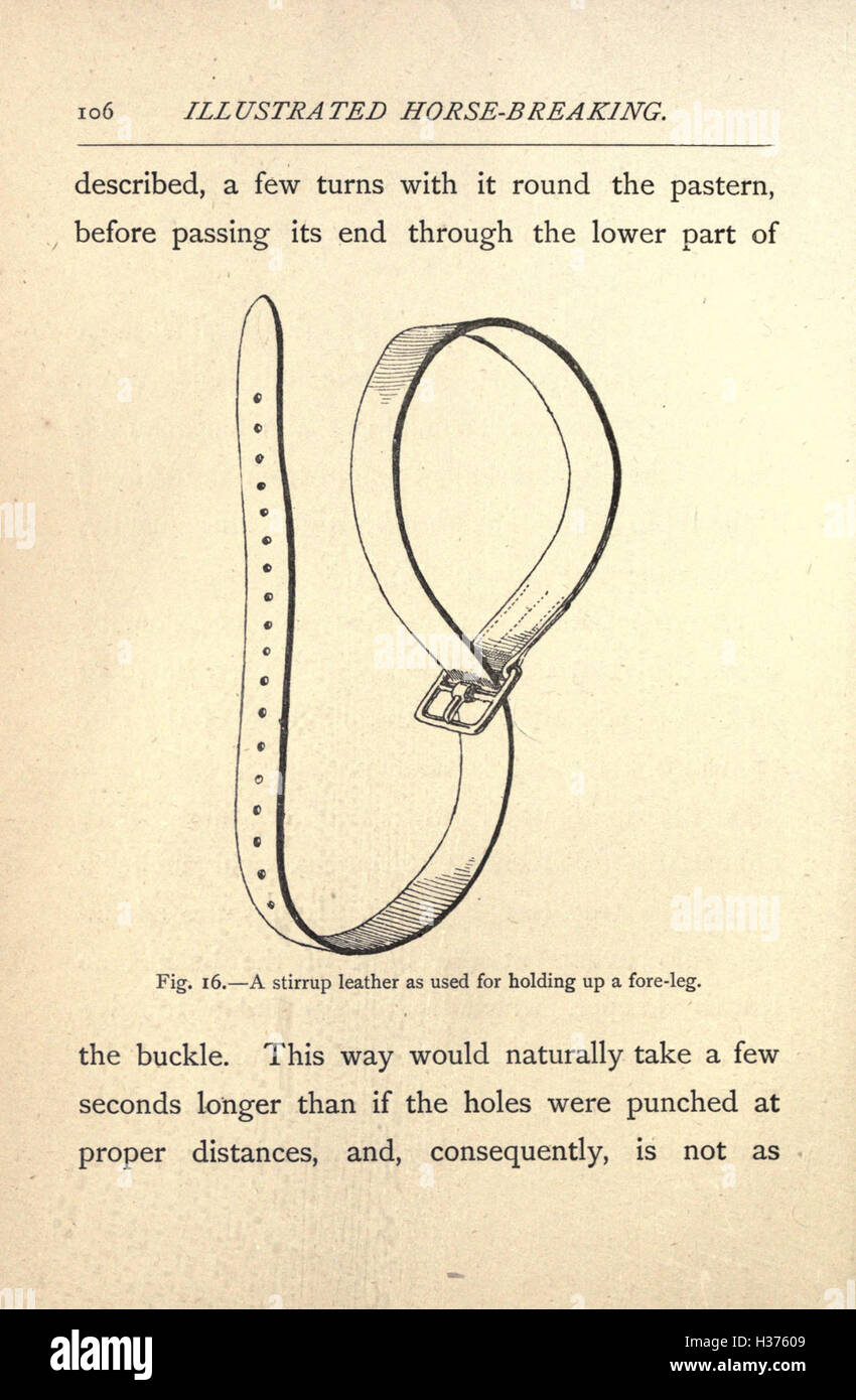 This illustrated guide on horse breaking provides visual step-by-step ...