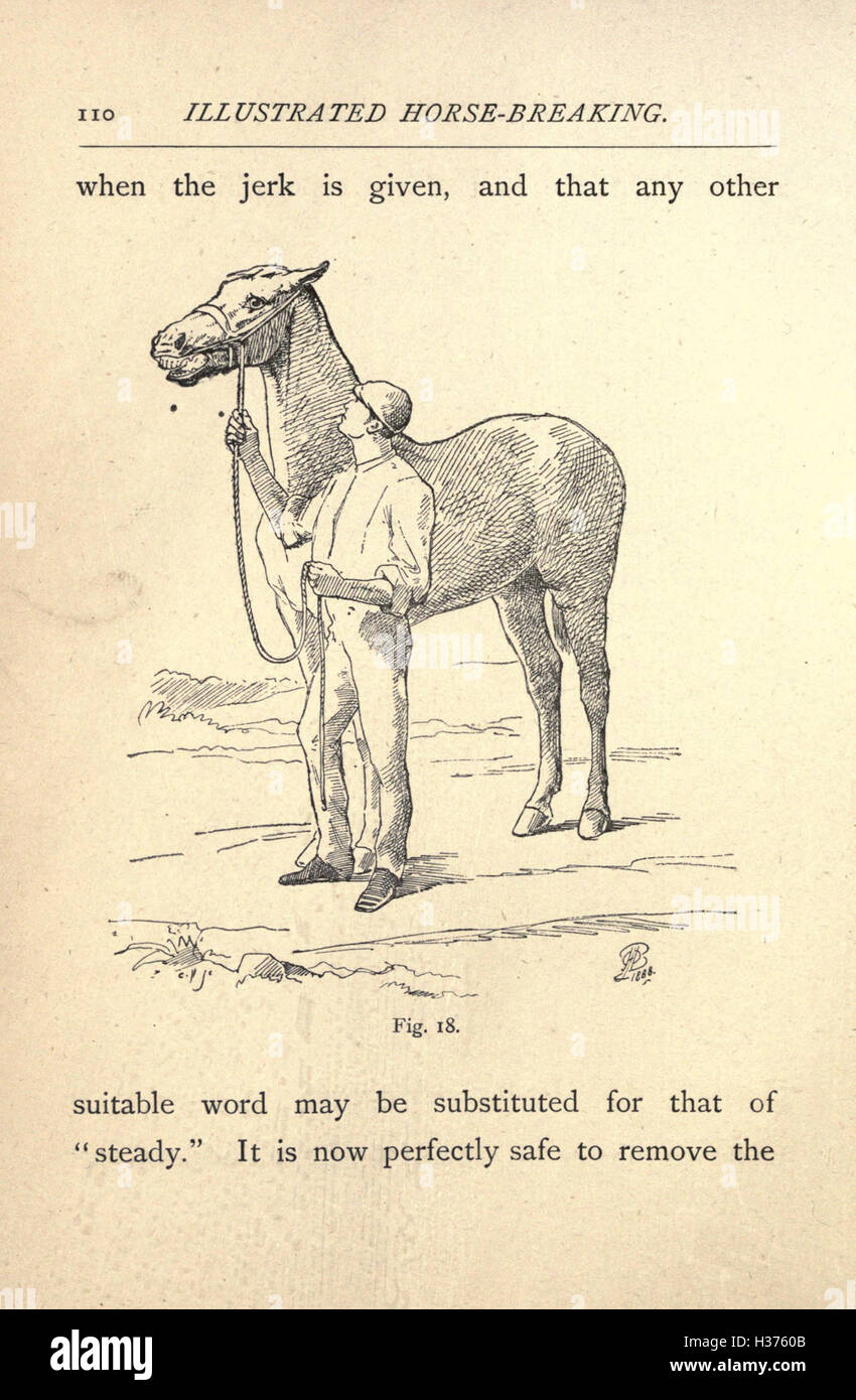This illustrated guide offers step-by-step instructions on horse ...