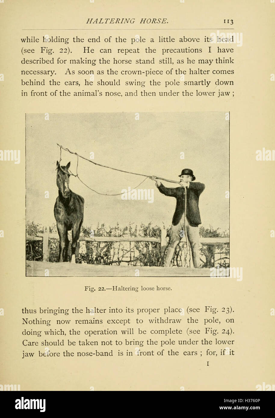 This book provides a visual guide to the techniques of horse breaking ...