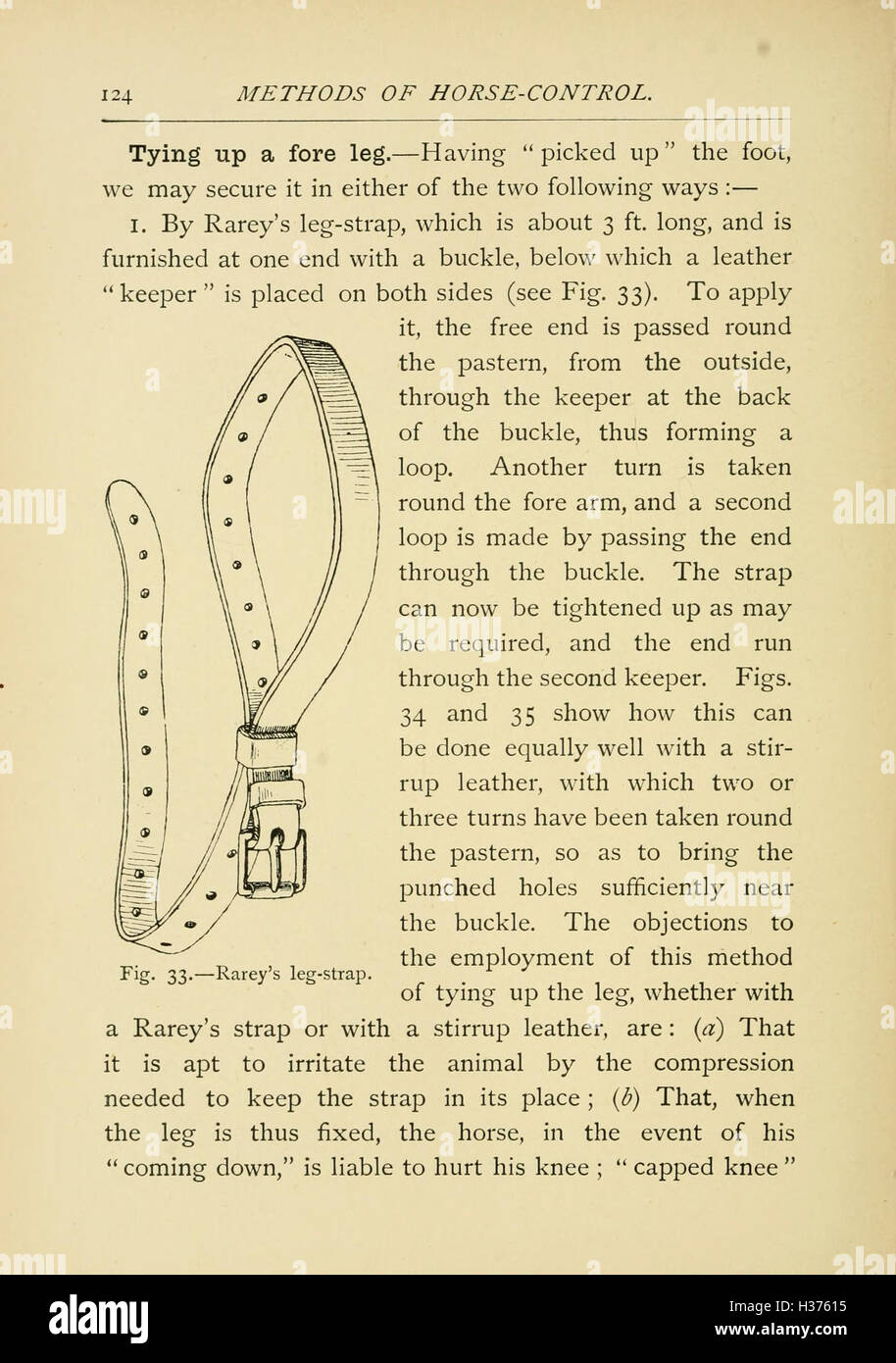 This work provides a visual guide to horse breaking techniques ...