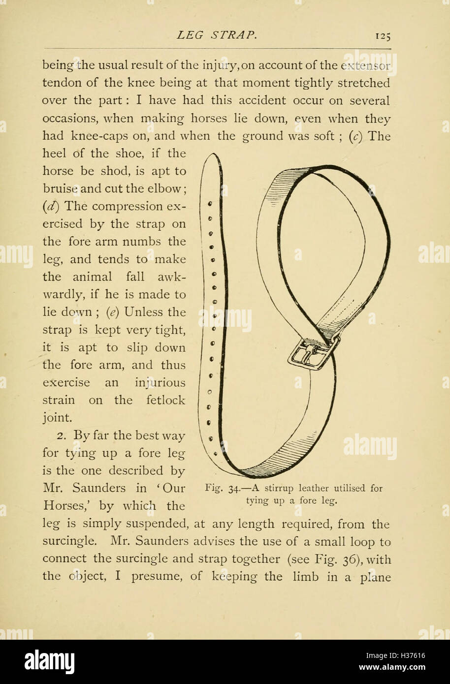This work provides a visual guide to horse breaking techniques ...