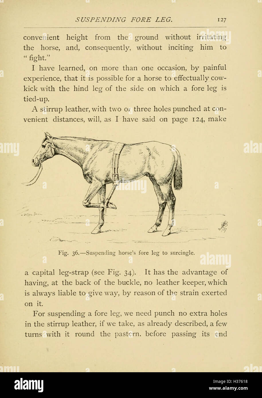 This illustrated guide provides step-by-step instructions for breaking ...