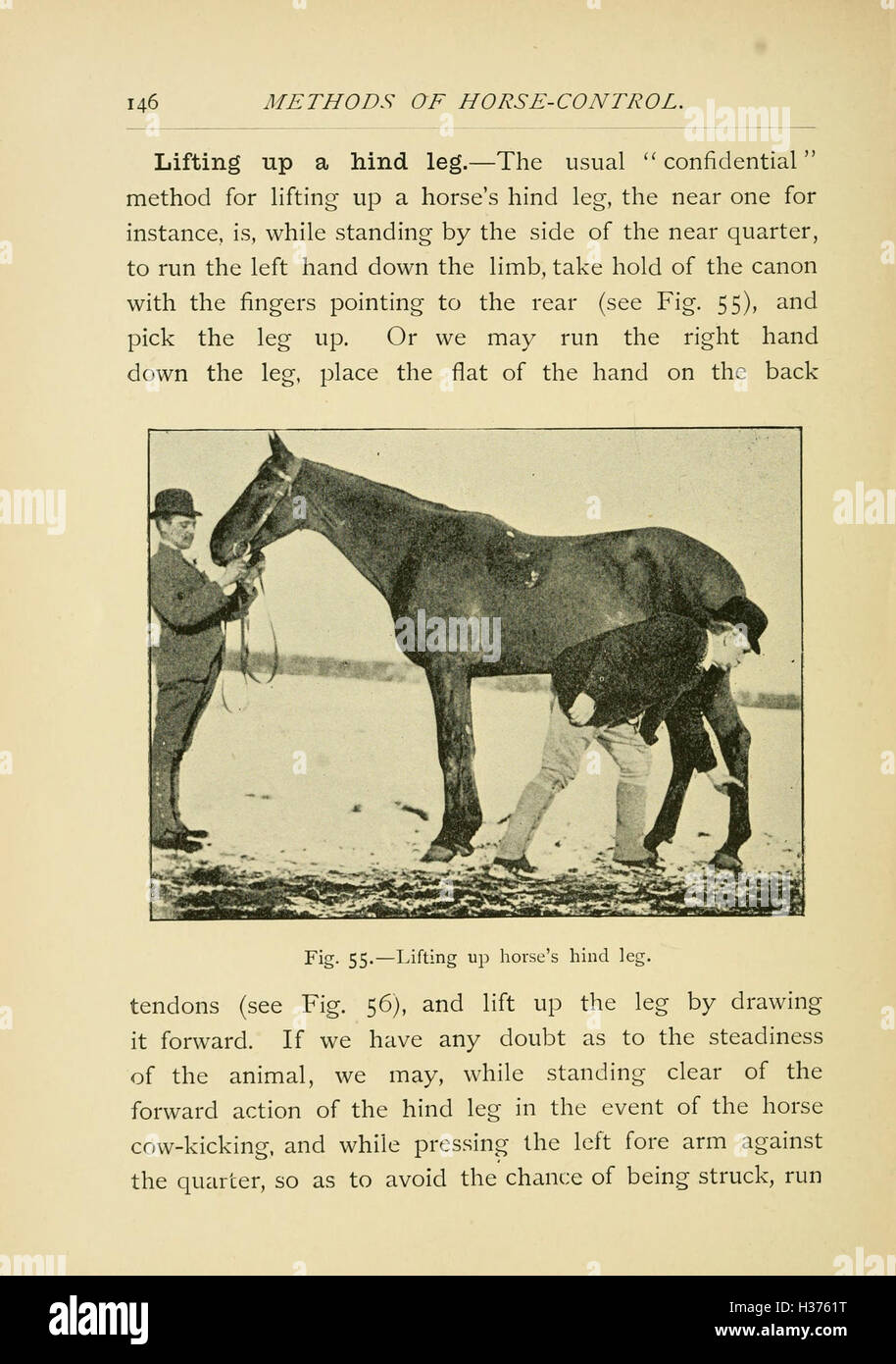 Illustrated Horse Breaking provides visual and written instructions for ...
