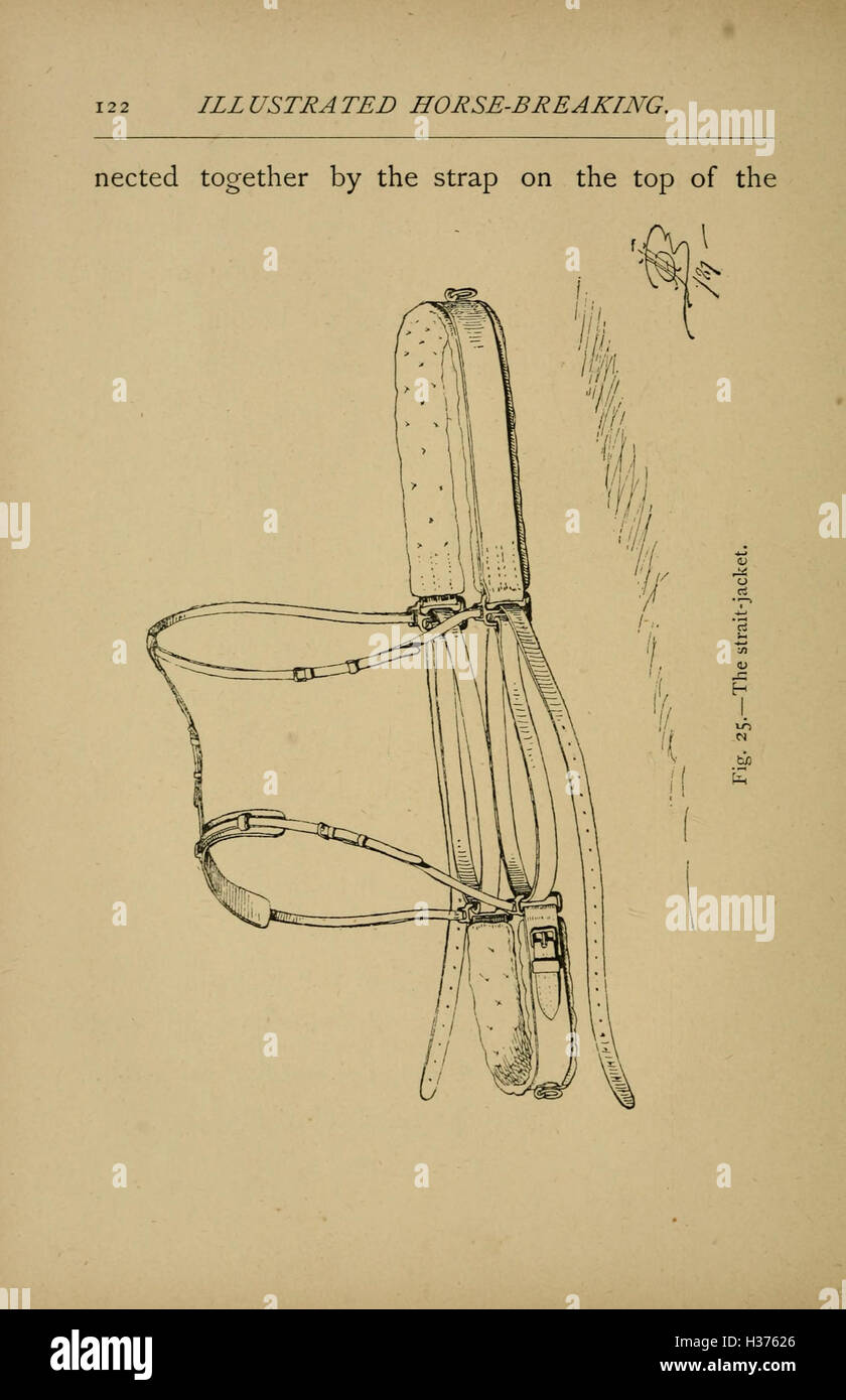 This guide provides visual techniques for breaking and training horses ...