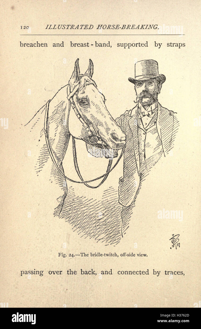 This guide provides an illustrated approach to horse breaking, focusing ...