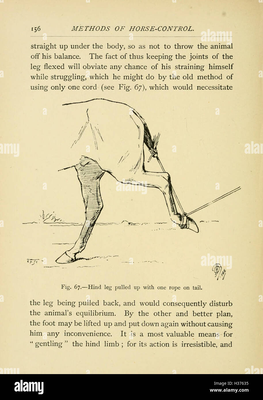 An illustrated guide on horse breaking techniques, providing visual ...