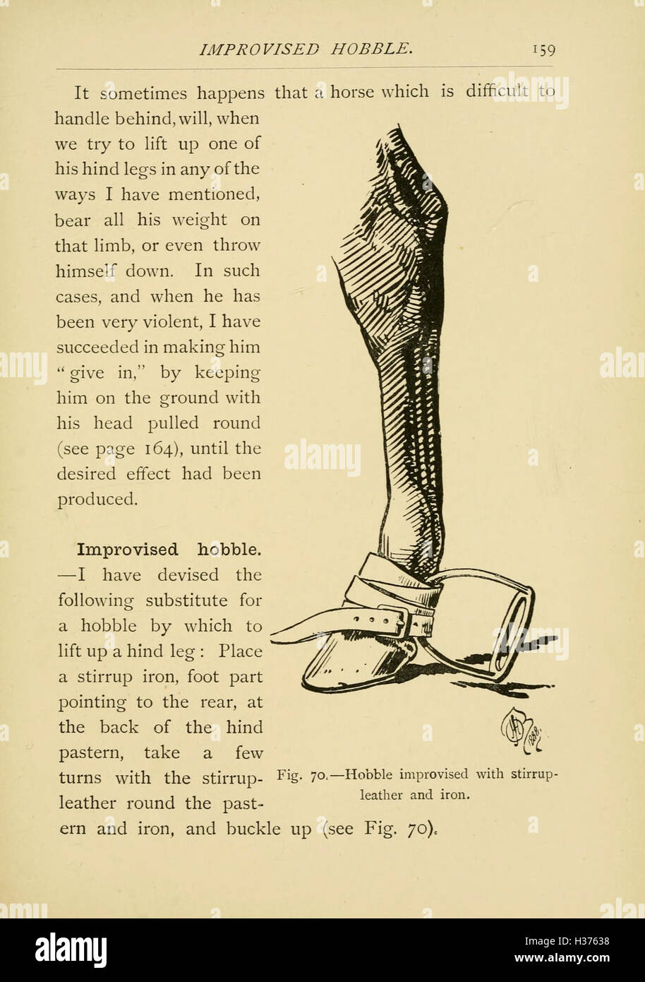 An illustrated guide to horse breaking techniques, focusing on methods ...