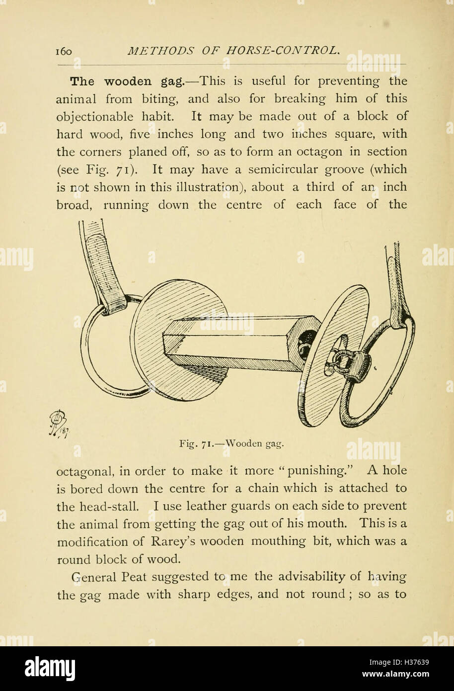 'Illustrated Horse Breaking' provides a visual guide to training and ...