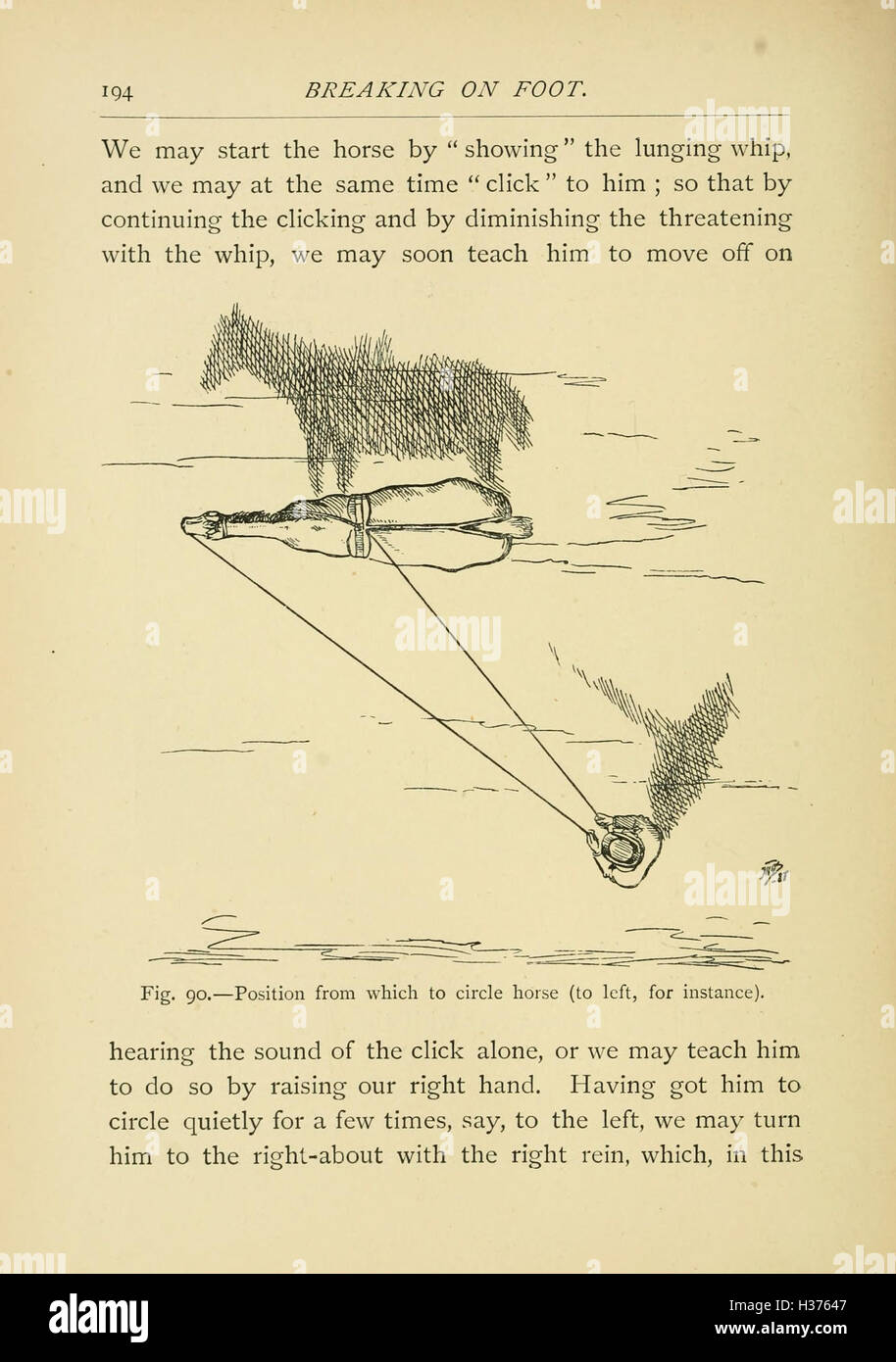This illustrated guide on horse breaking provides visual and written ...