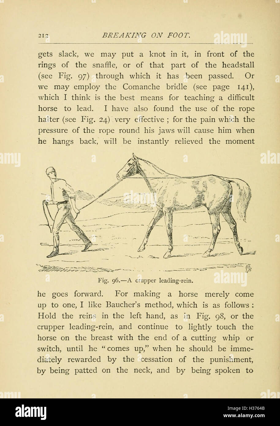 This illustrated guide demonstrates various techniques for breaking and ...