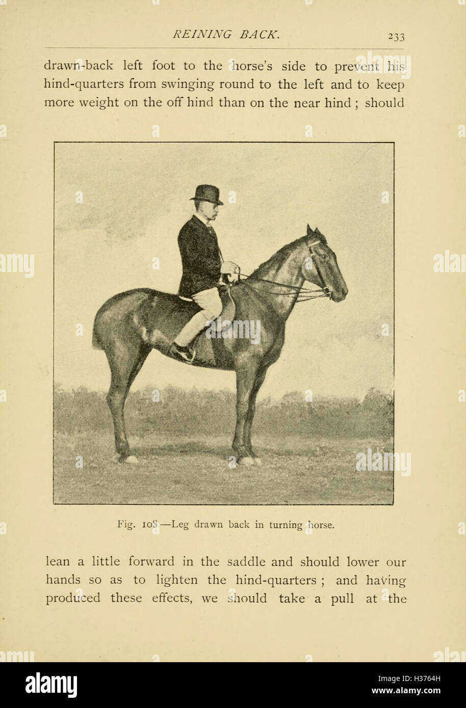 This illustrated guide provides techniques for breaking and training ...