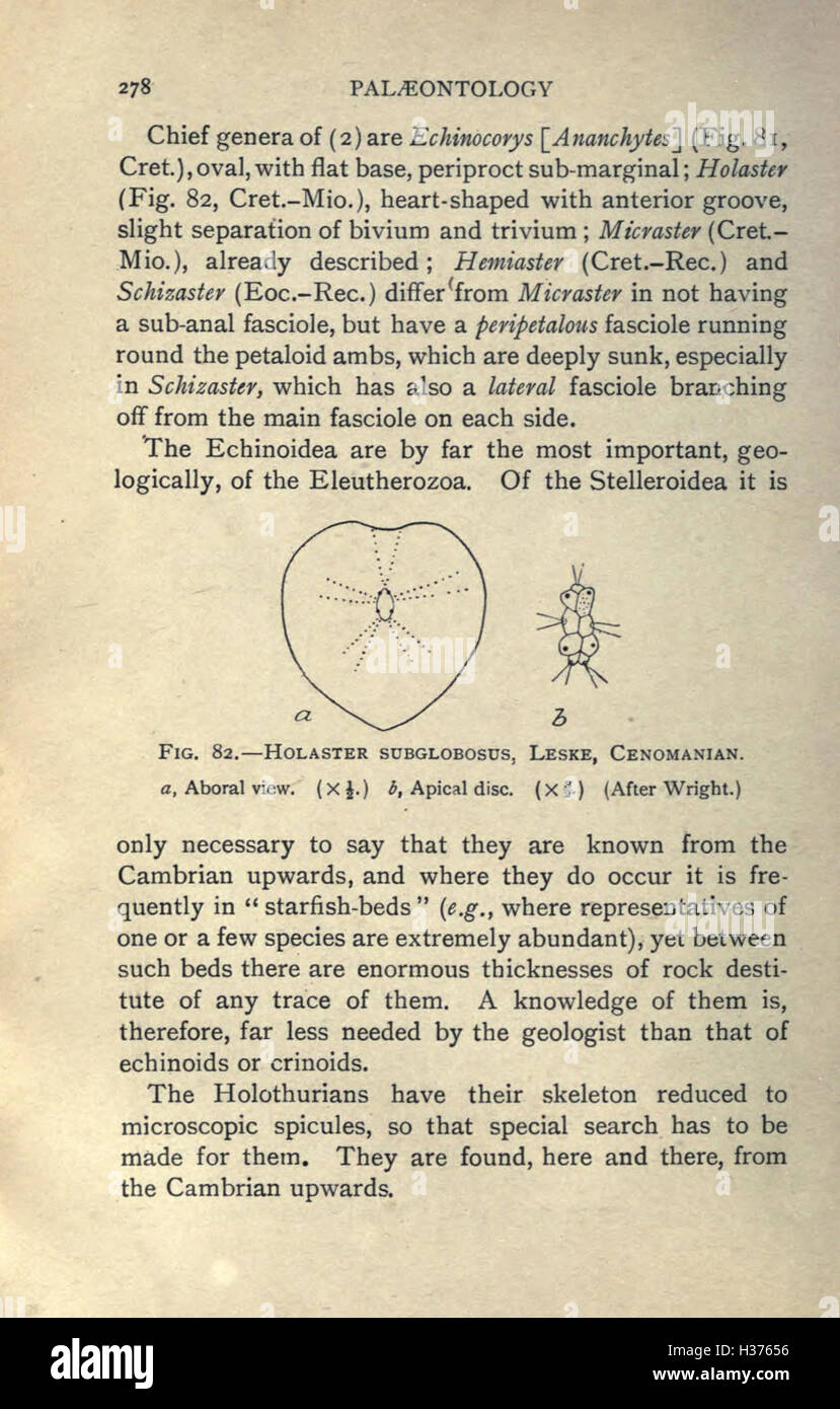 This introduction to paleontology provides a foundational overview of ...