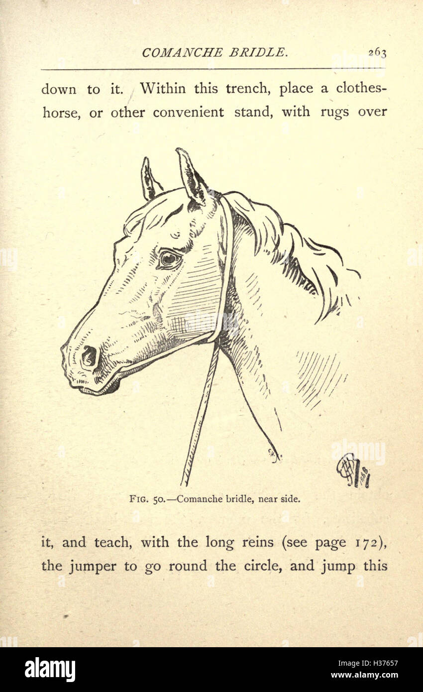 This illustrated guide provides a step-by-step approach to horse ...