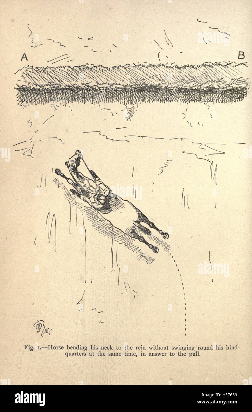 This text provides illustrated guides on the techniques of horse ...