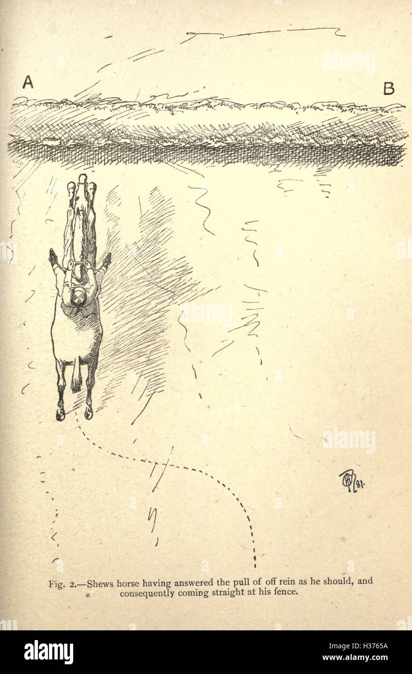 This work provides illustrated guidance on horse breaking techniques ...