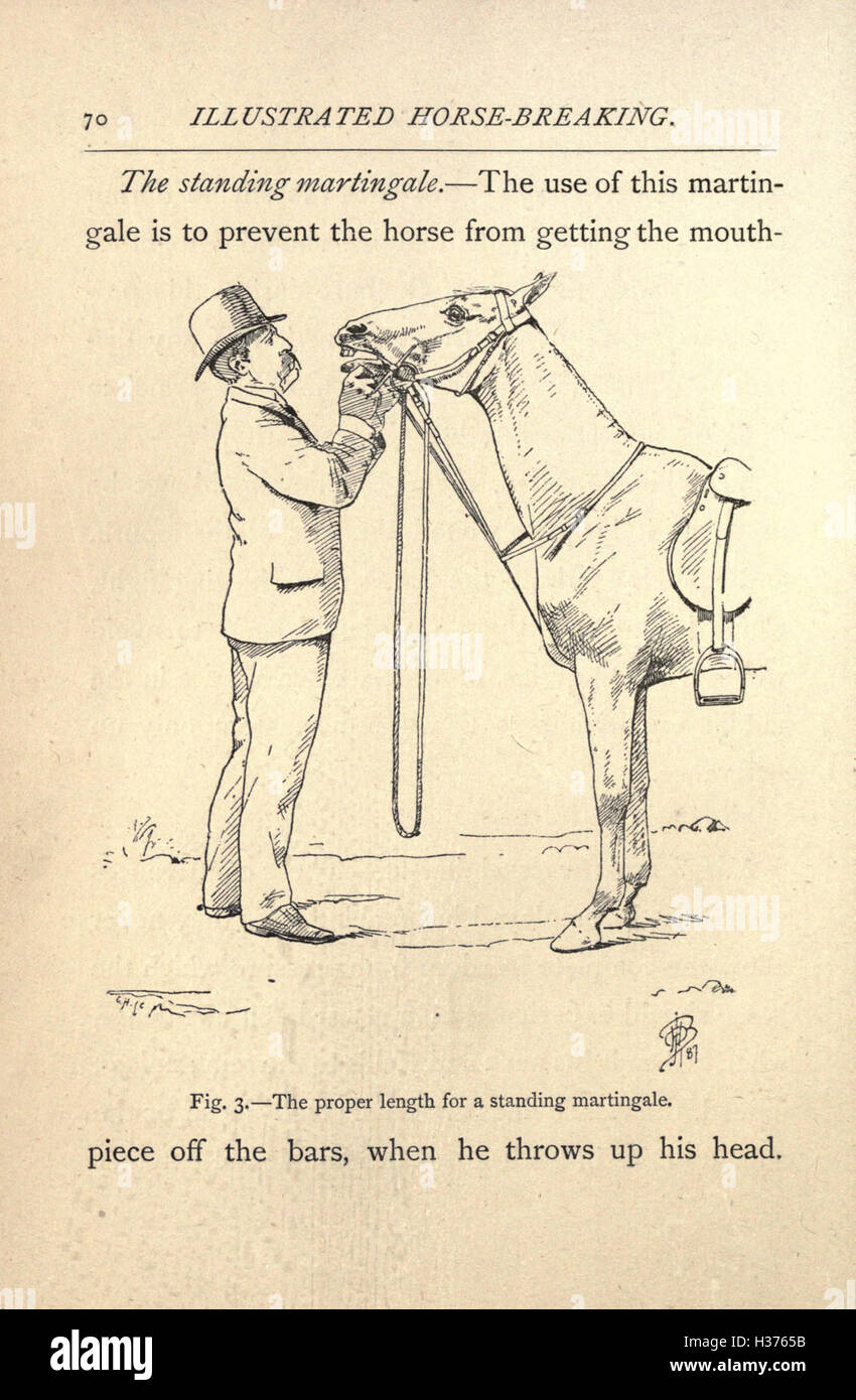This illustrated guide provides techniques for training and breaking ...