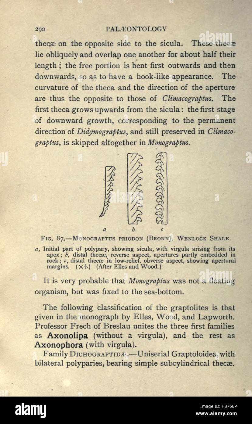 A primer on paleontology, offering an introduction to the study of ...