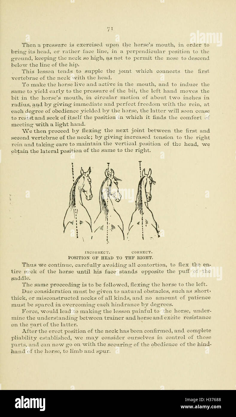 An illustrated guide on horsemanship, providing detailed instructions ...