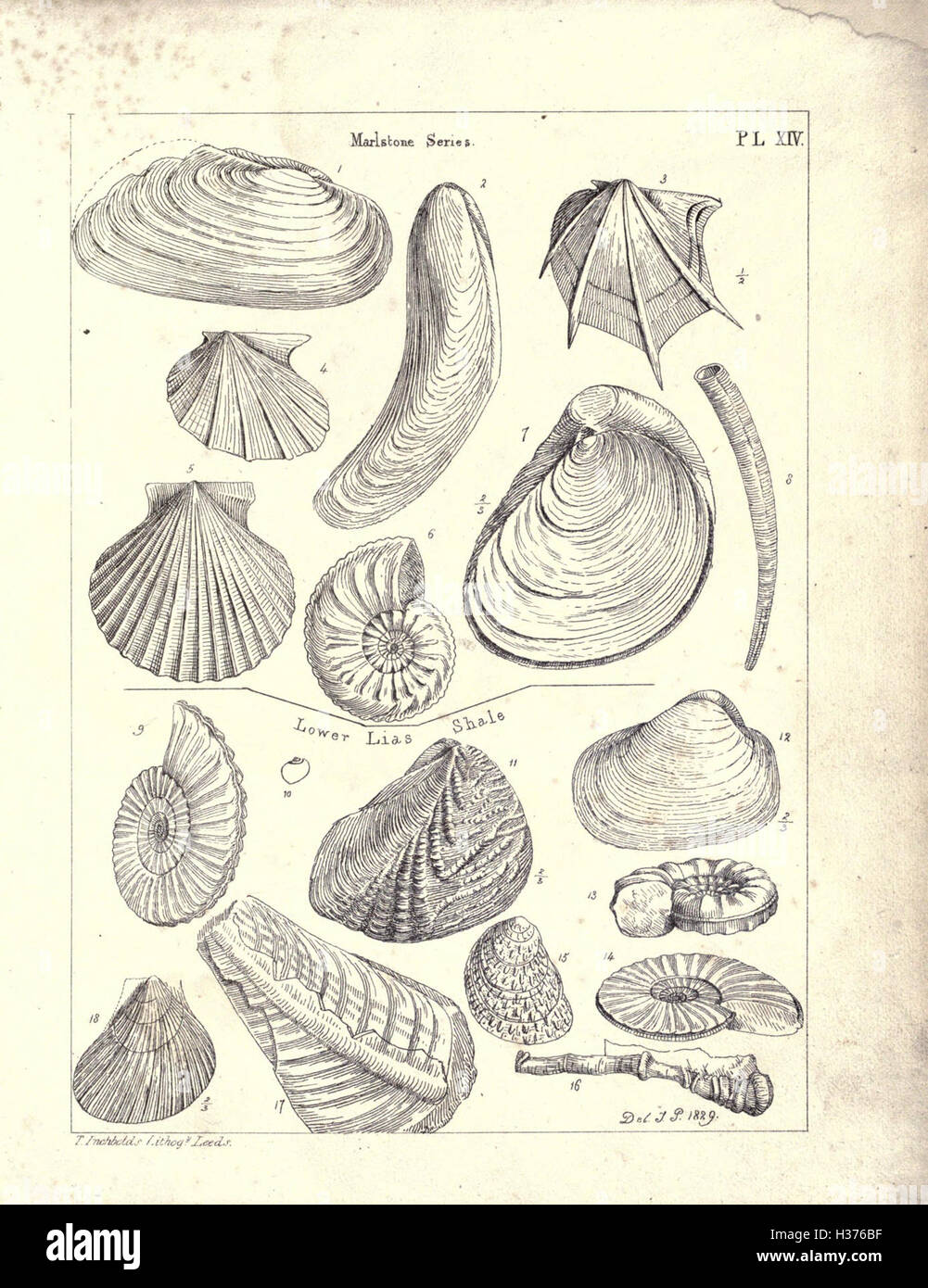 A visual documentation of the geological features in Yorkshire ...
