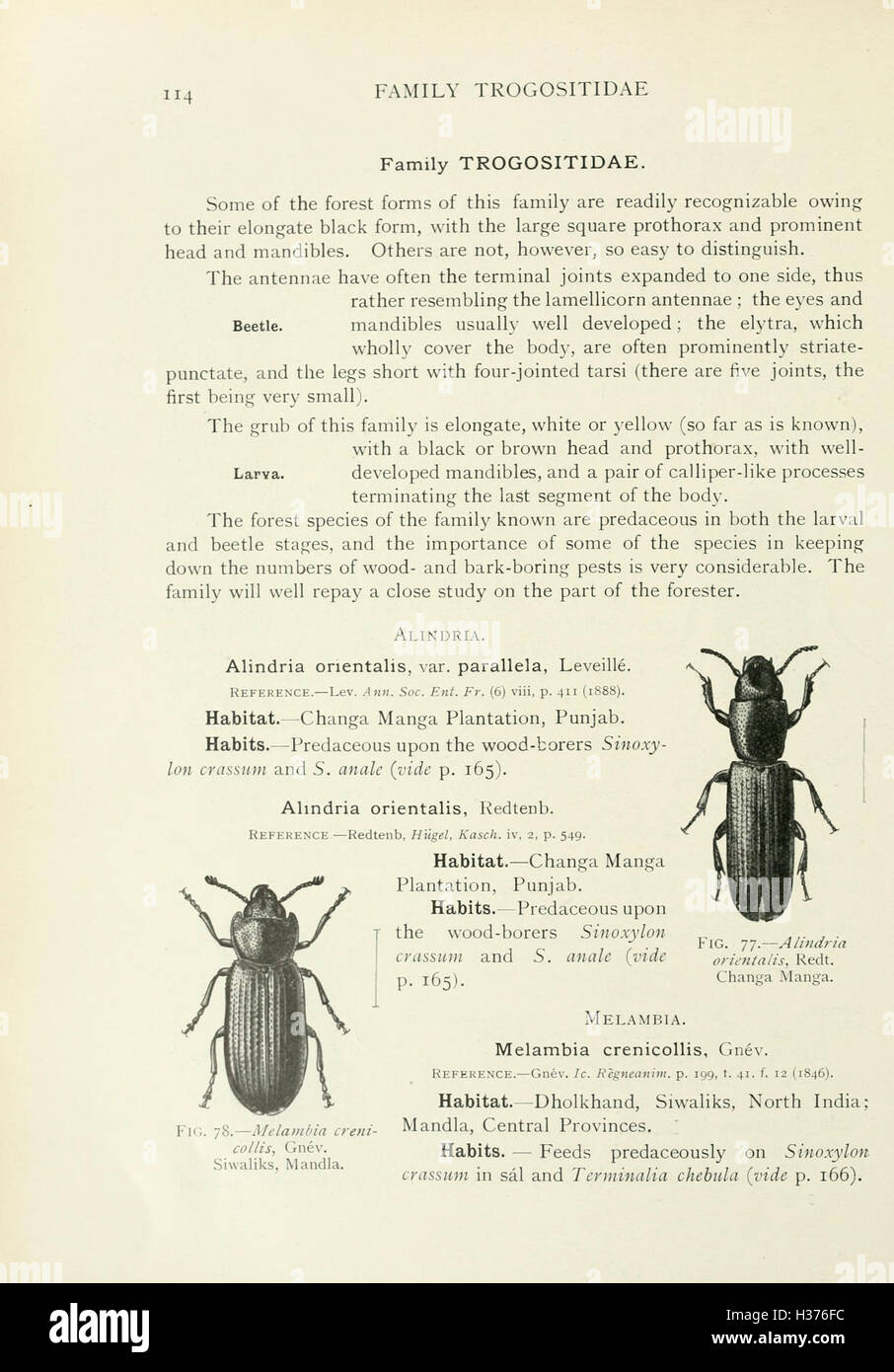 This work examines economically significant forest insects in India ...