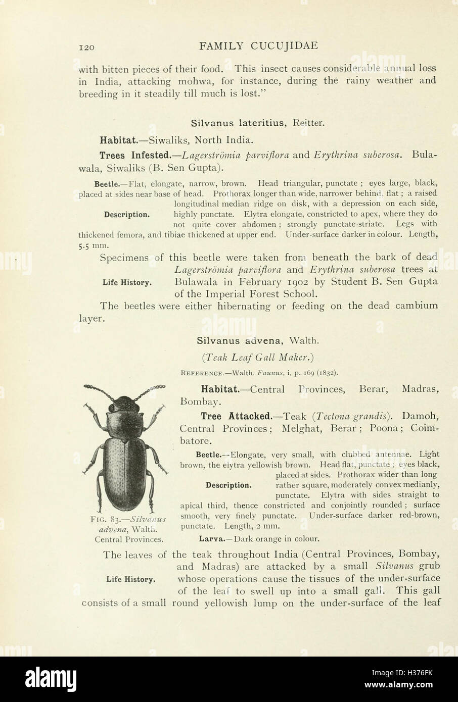 This work studies the economic impact of forest insects in India ...
