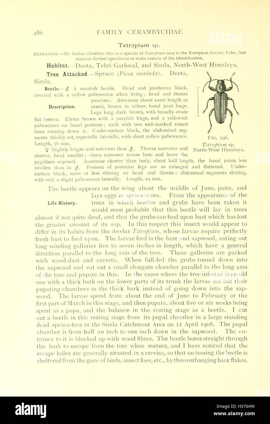This work details the economic importance of forest insects in India ...