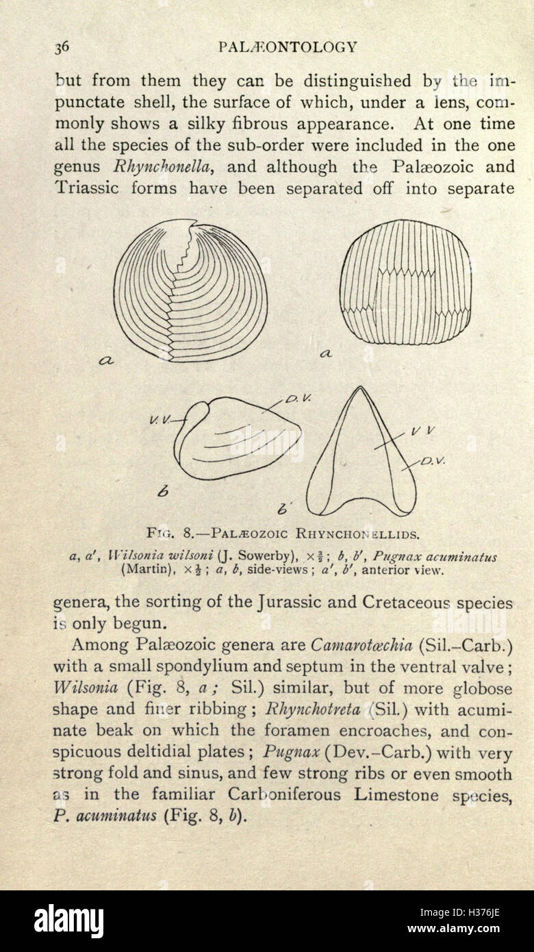 This page introduces the basic concepts of paleontology, including ...