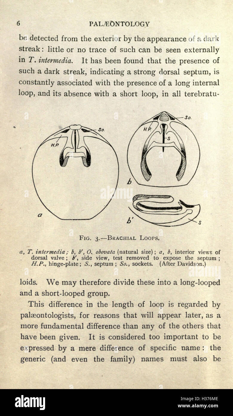 This introduction to paleontology offers an overview of the field ...