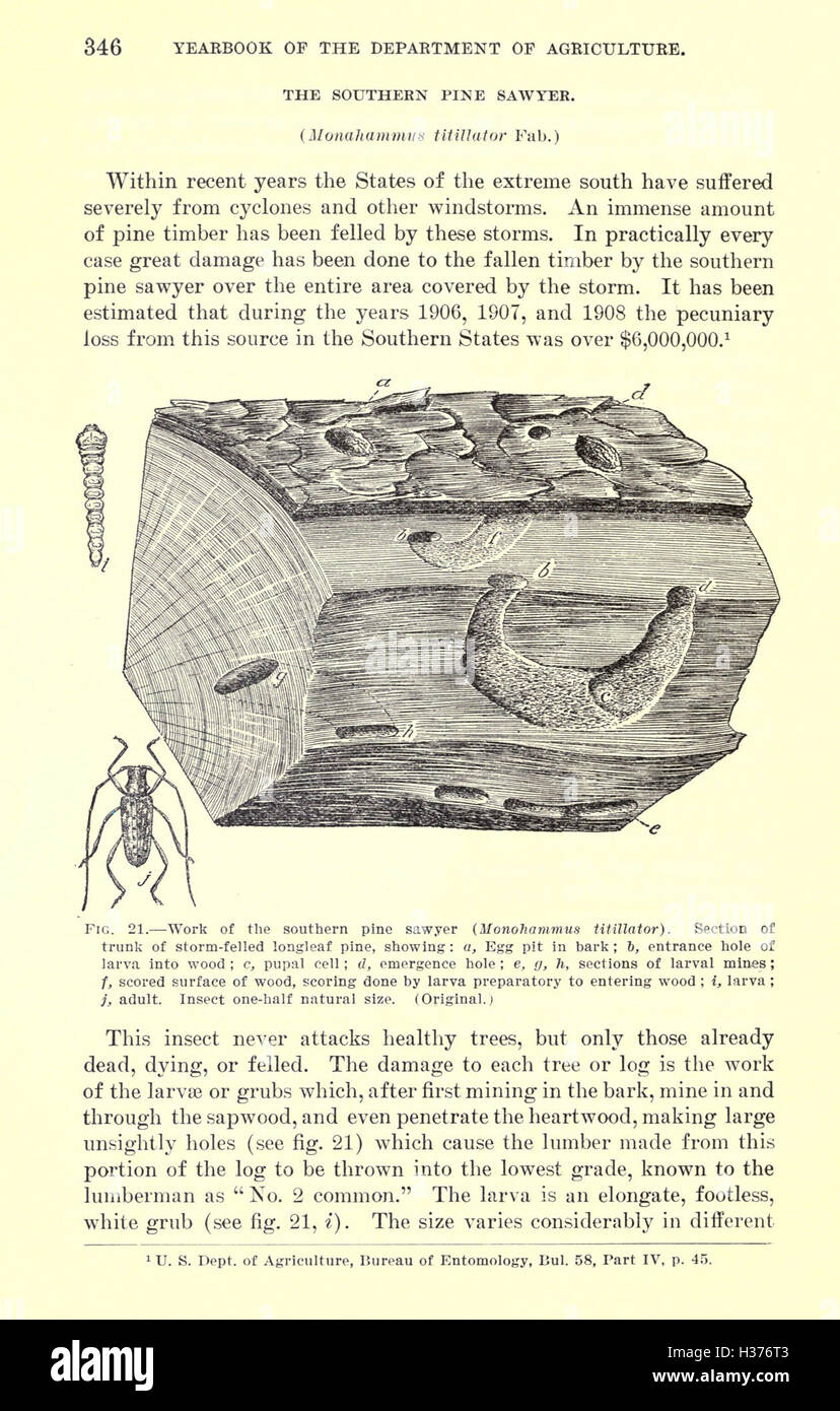 This study examines the damage caused to forests and forest products by ...