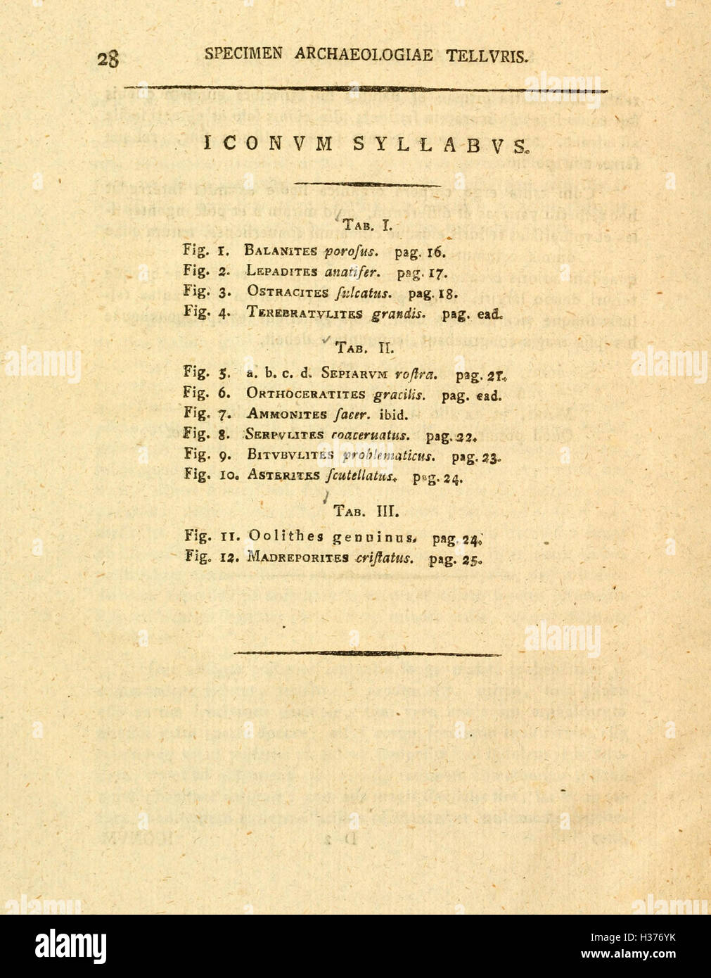 A study by Johann Friedrich Blumenbach on the archaeology of the earth ...