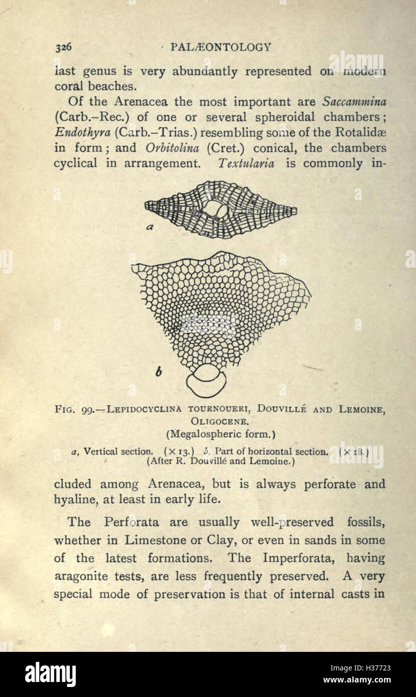 This introduction to paleontology provides an overview of fossil study ...