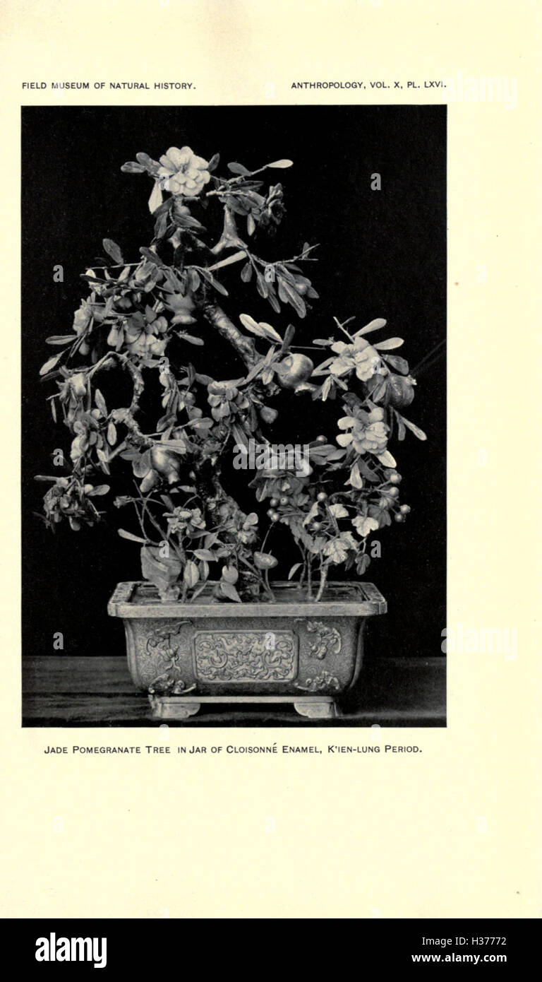 This text provides a detailed study of jade, focusing on its formation ...