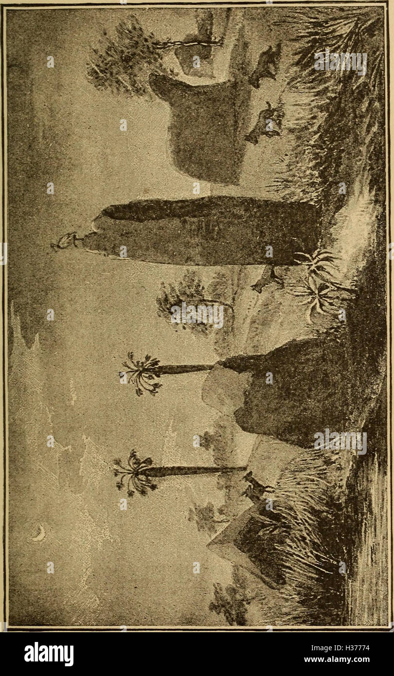 This biography details the life and work of James Hannington, the first ...