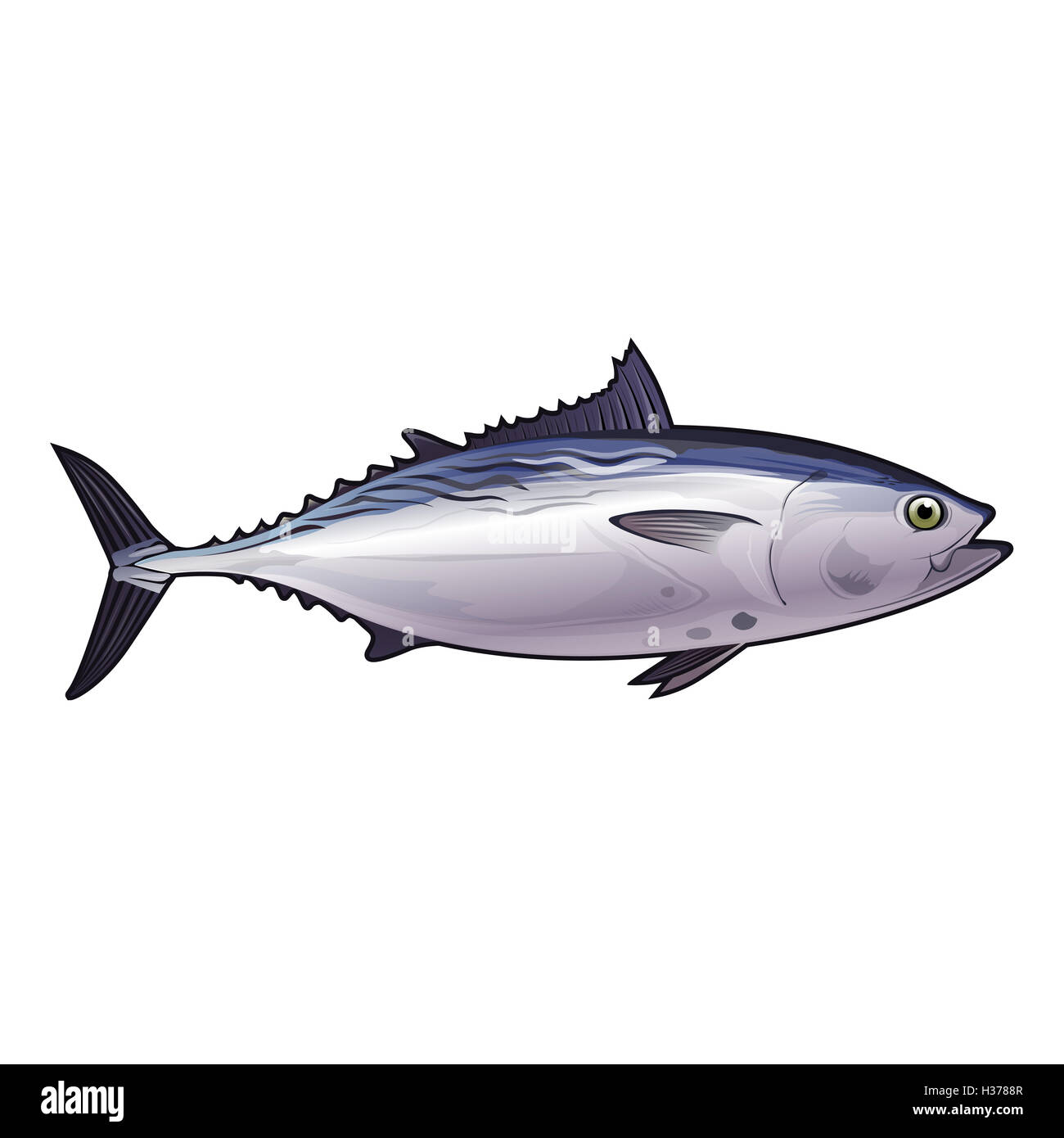 Tuna Fish Drawing
