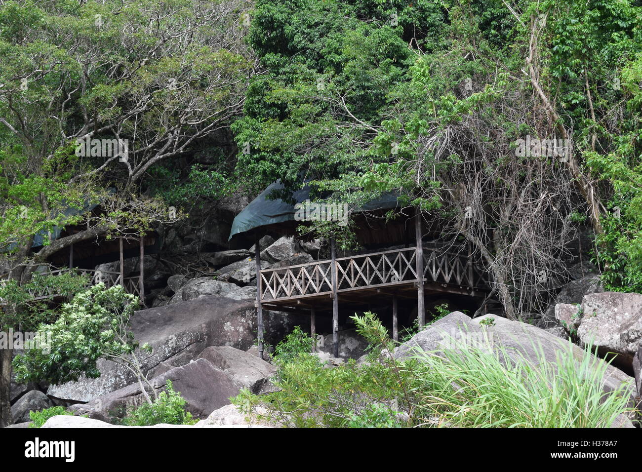 forest and small hiding house shelter Stock Photo - Alamy